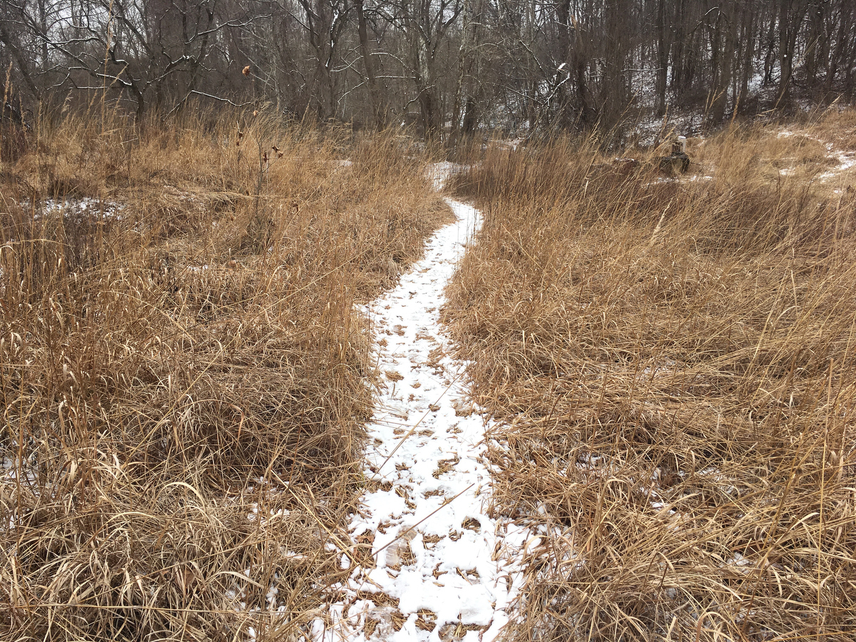 Fourth annual Walk Around Philadelphia is complete! – JJ Tiziou